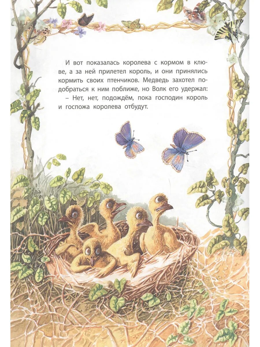 Королек и Медведь — фото 1