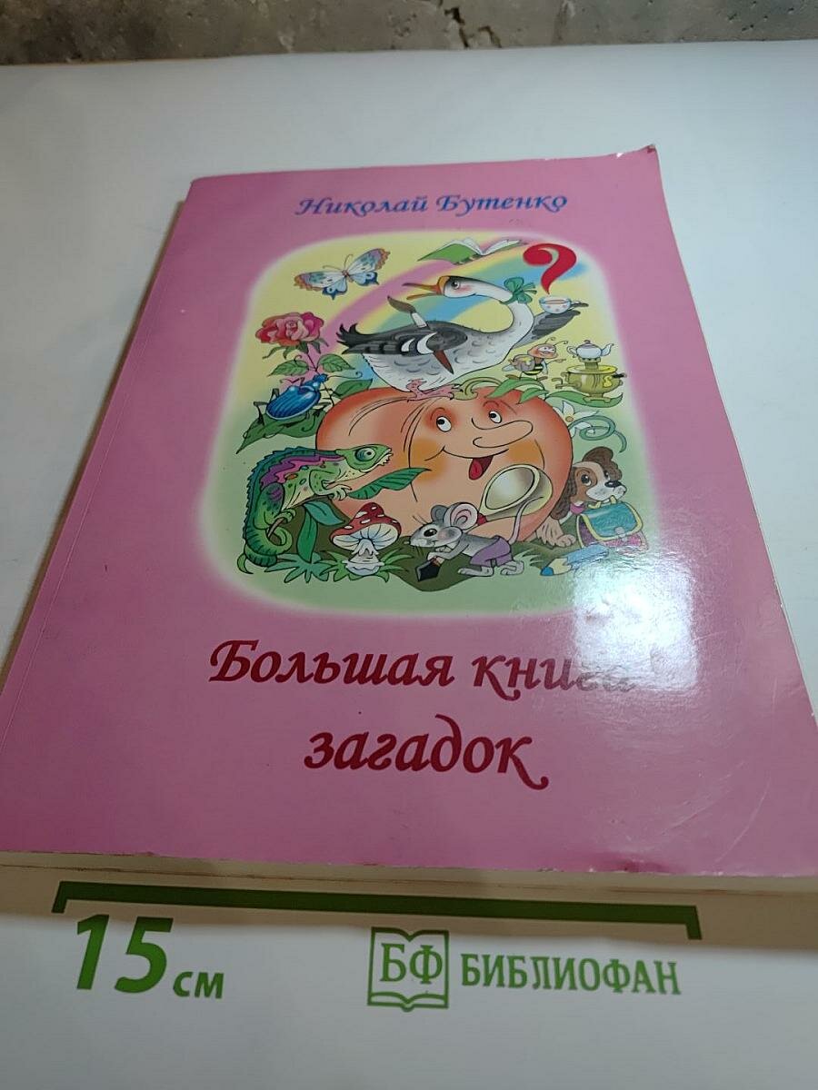 Большая книга загадок