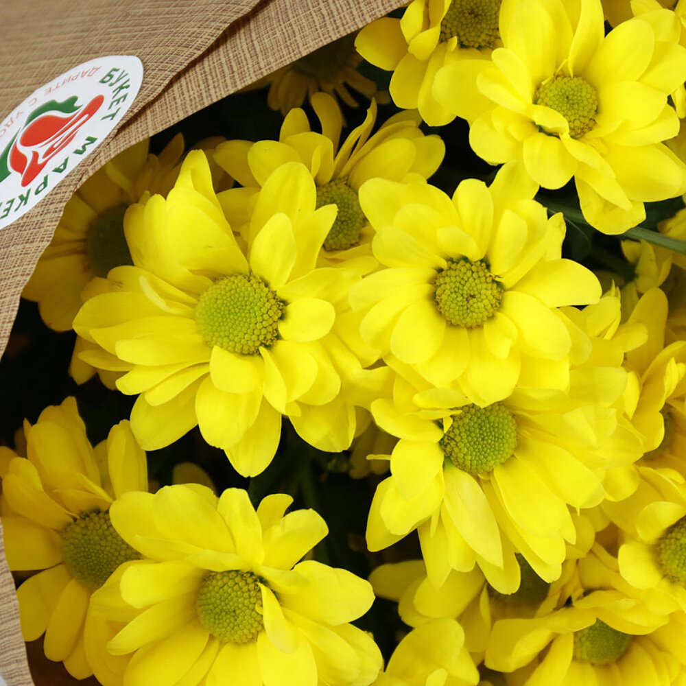 Монобукет "Букет Маркет", хризантемы, крафт-упаковка, высота 60 см