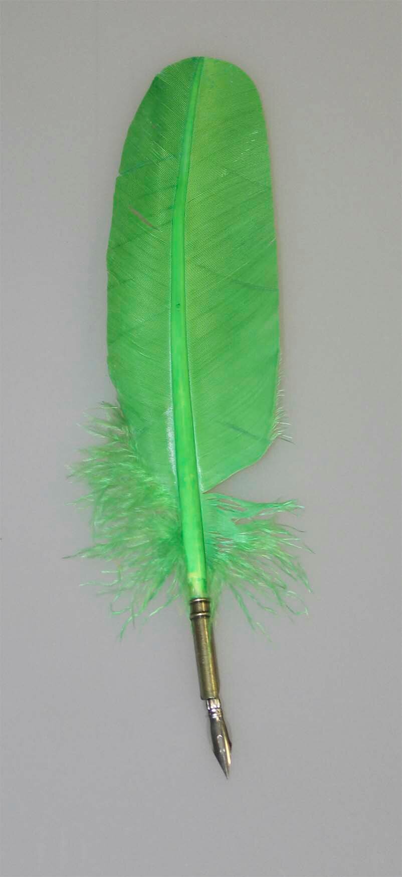 Гусиное перо зеленое для каллиграфии