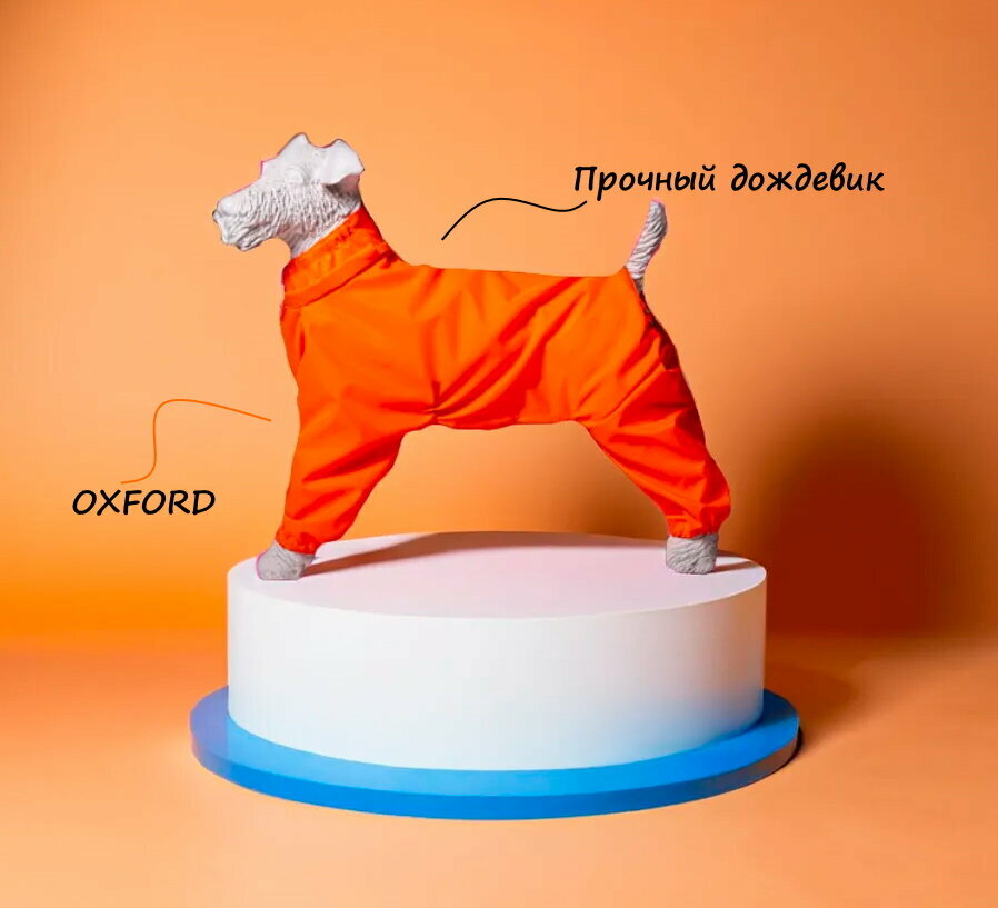 Комбинезон-дождевик для бассета кобеля, повышенной прочности, цвет оранжевый