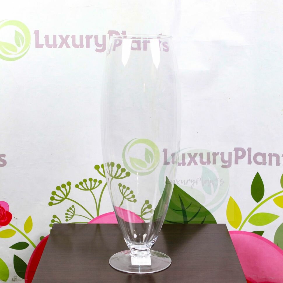 Кашпо для орхидеи Ванда Шампань d17 h67