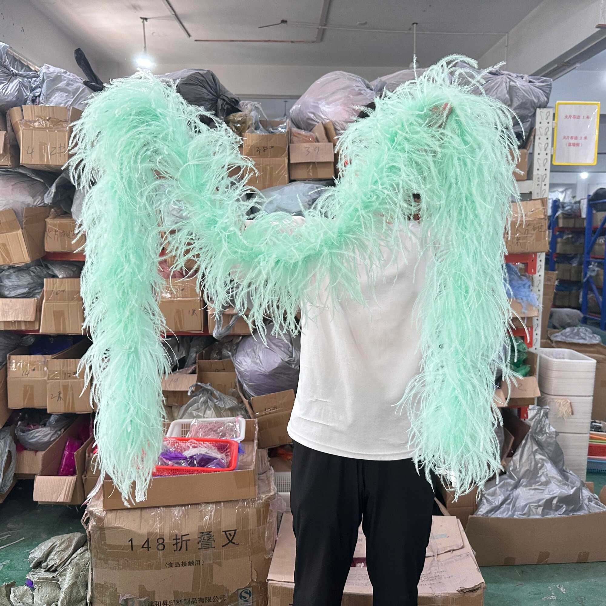 Натуральный боа из страусиных перьев WCPlume 2 метра Зеленый, 8Ply 2Meter, Зеленый, Mint Green