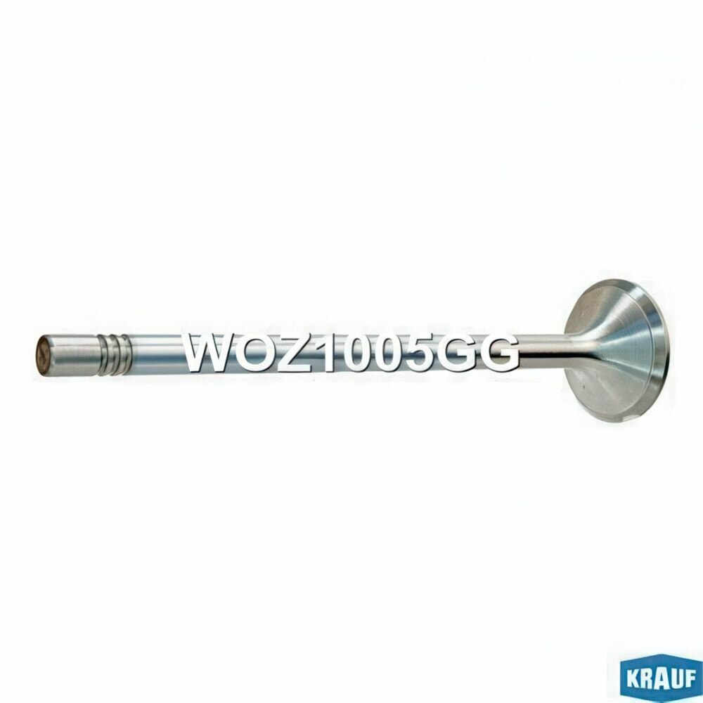 Клапан выпускной, для МАН арт WOZ1005GG