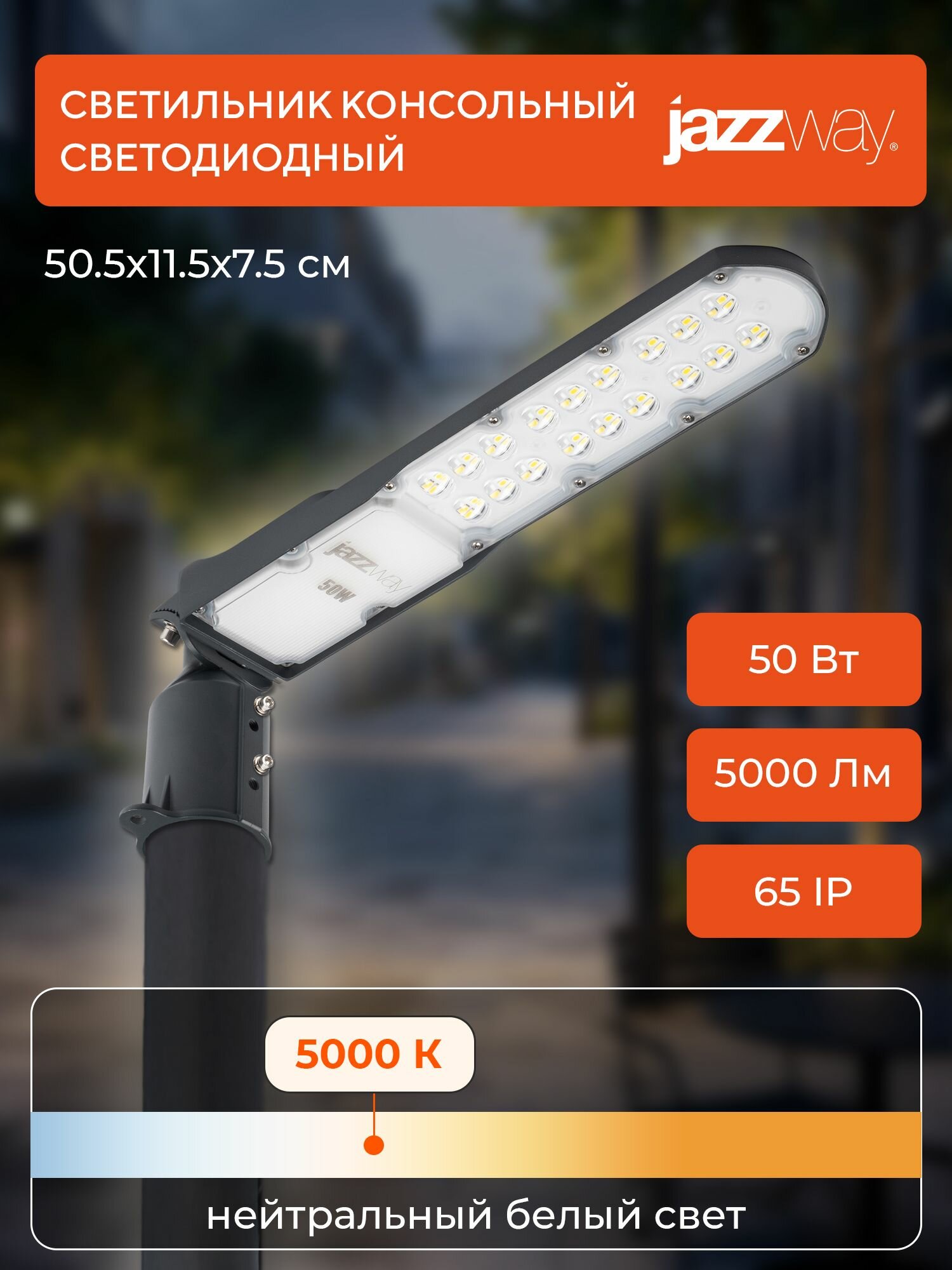 Светильник уличный консольный Jazzway PSL 09 50W 5000K, IP65