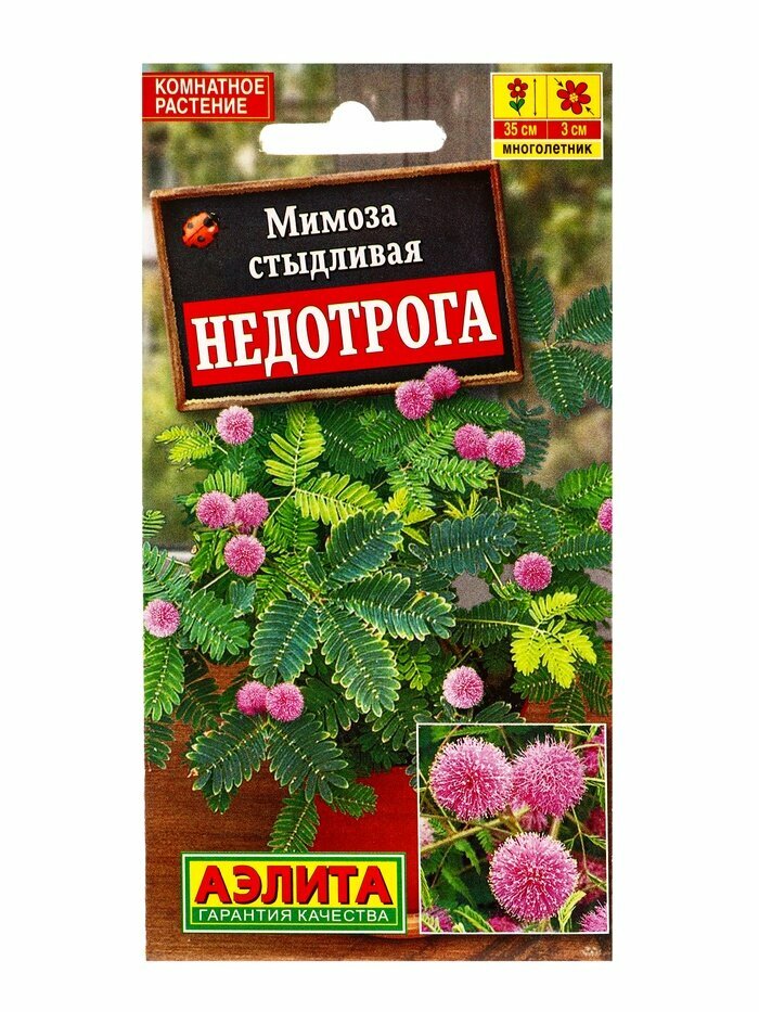 Семена цветов Мимоза Недотрога Мн, Ц/П,10 шт.