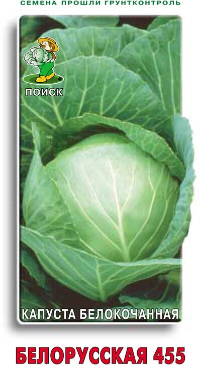 Капуста белокочанная Белорусская 445 0,5гр. (Поиск)