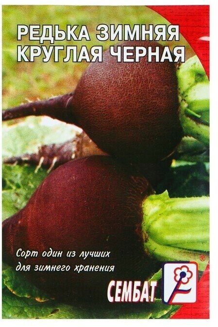 Семена Редька 'Зимняя круглая черная', 3 г