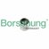 Гидрокомпенсатор Borsehung B18834