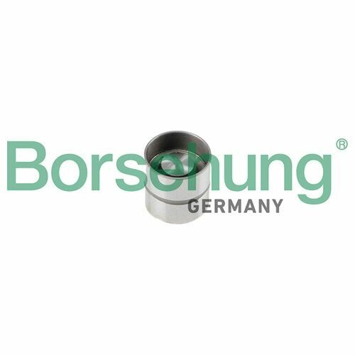 Гидрокомпенсатор Borsehung B18834