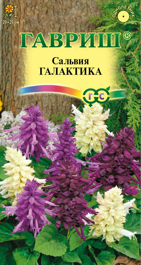 Цена за 10 пачек! Семена Сальвия Галактика карлик 6шт Одн смесь 25 см (Гавриш)