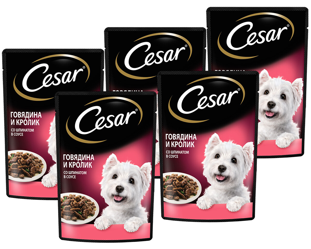 CESAR для взрослых собак маленьких пород с говядиной, кроликом и шпинатом пауч 85 гр 85 гр х 5 шт