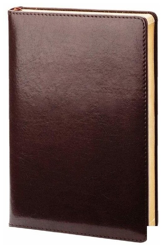 Ежедневник датированный на 2020 год А5 InFolio Britannia (176 листов) обложка кожа, бордовая (140х200х26мм)