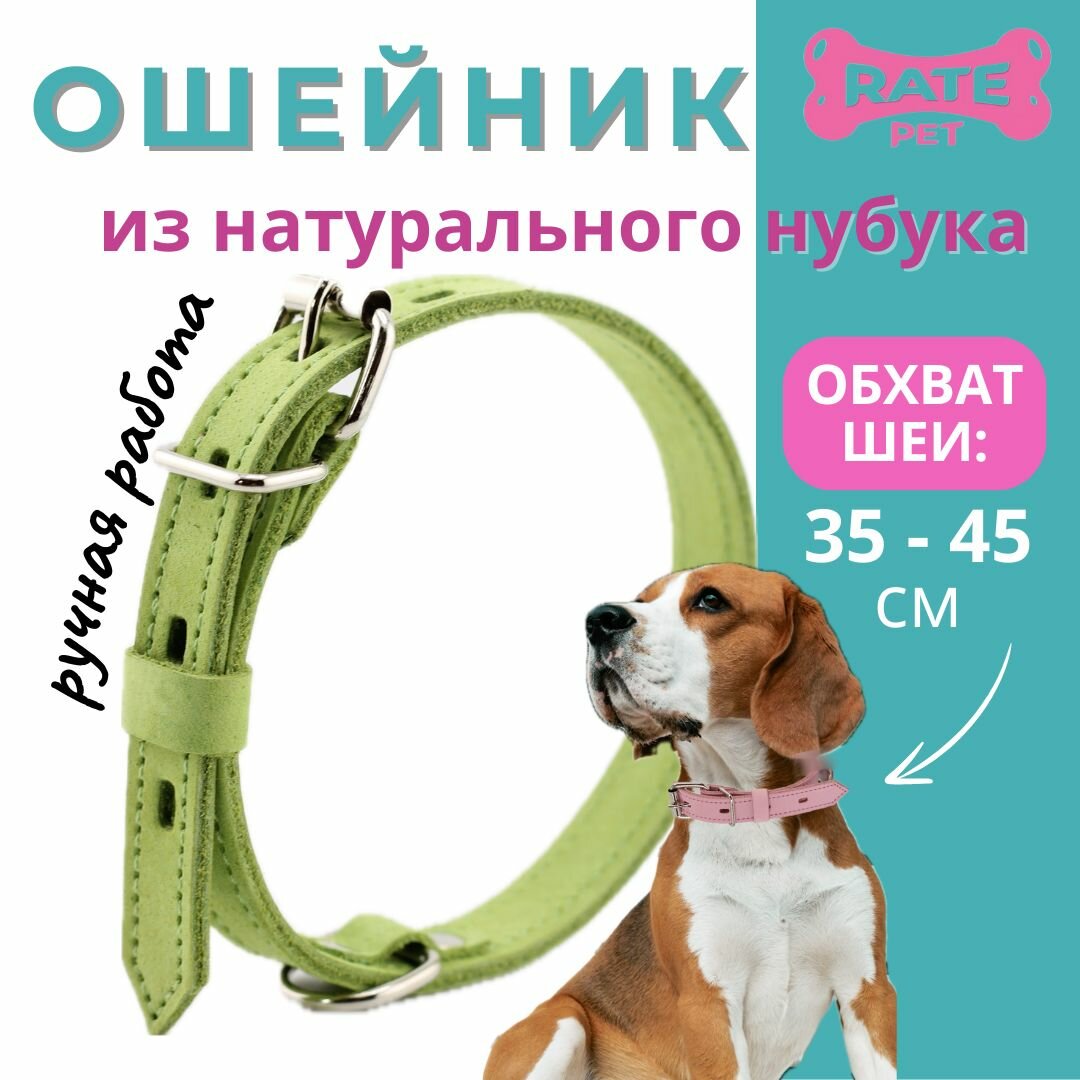 Ошейник для собак кожаный мягкий (нубук) обхват шеи 35-45 см, ширина 2.5 см, салатовый