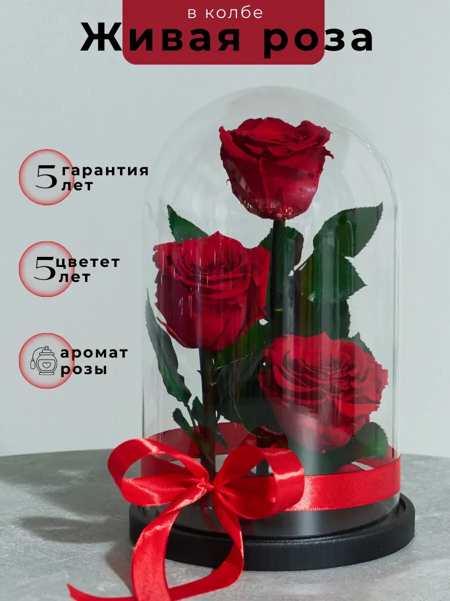 Композиция живая роза в стеклянной колбе