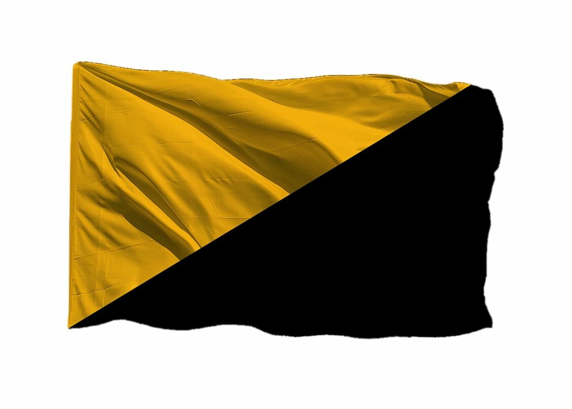 Флаг анархокапитализма, 90х135 см на сетке для улицы, для флагштока