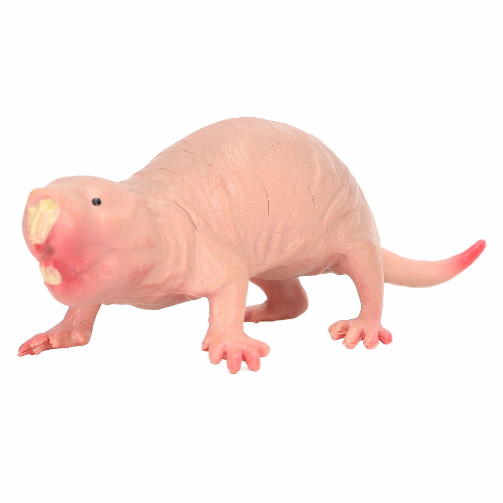 Пластиковая фигурка крота для детей, симуляция, статичная, без покрытия, 9x3.2 см