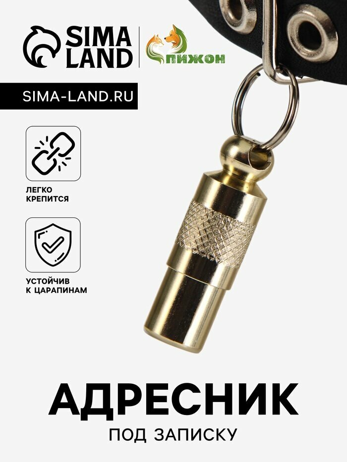 Адресник-капсула под записку, 0.9×2.75 см, золотой