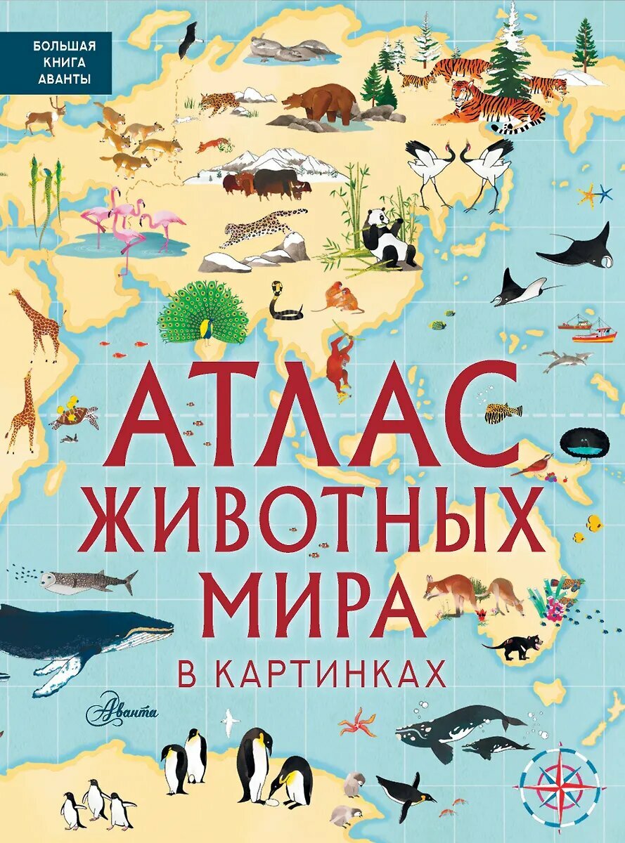 Детская литература АСТ "Атлас животных мира в картинках" Хокинс Э, Лезерленд Л, 2022 год