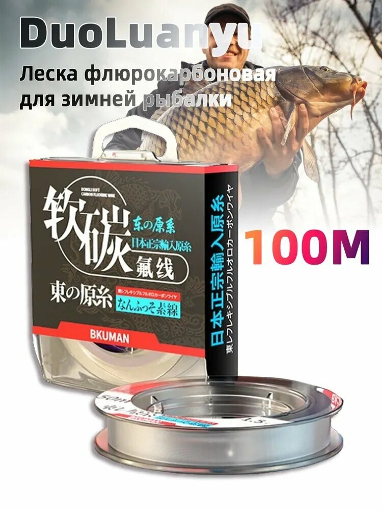 DuoLuanyu Флюорокарбоновая леска для рыбалки, размотка: 100 м, толщина: 0.1 мм