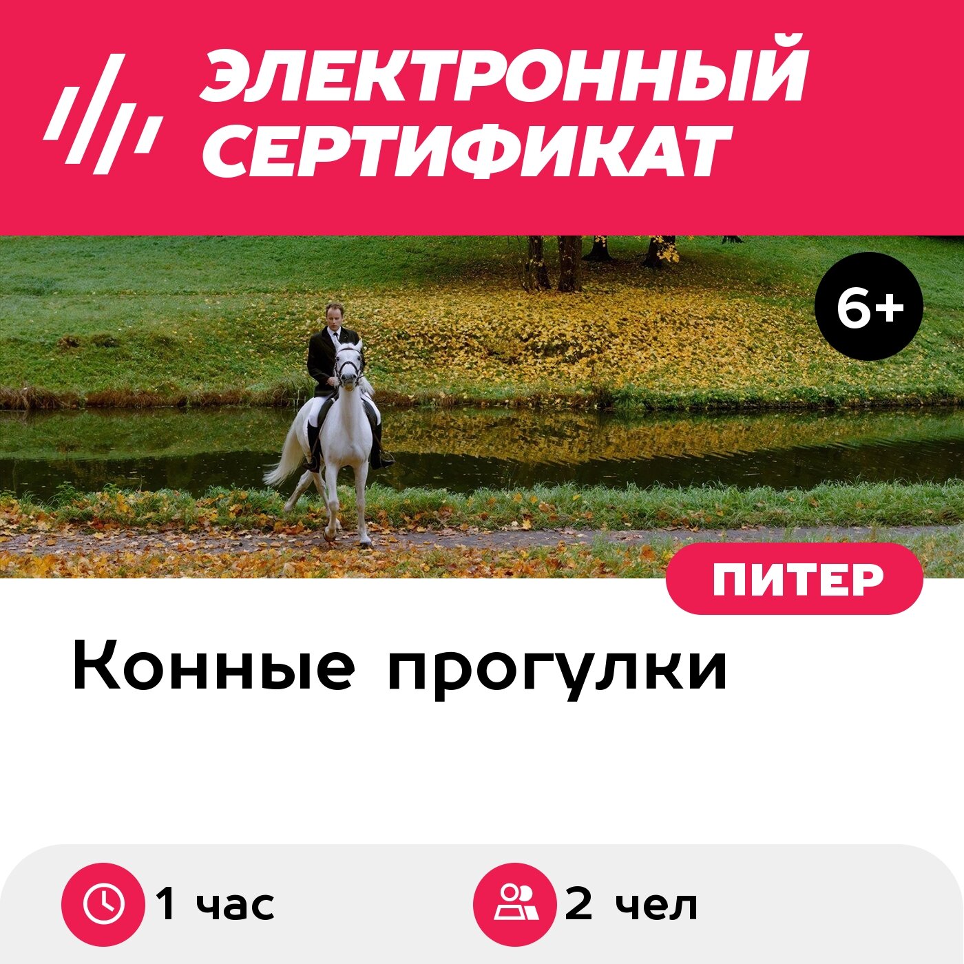 Подарочный сертификат Индивидуальная конная прогулка по Павловскому парку, 2 чел. (1 час)