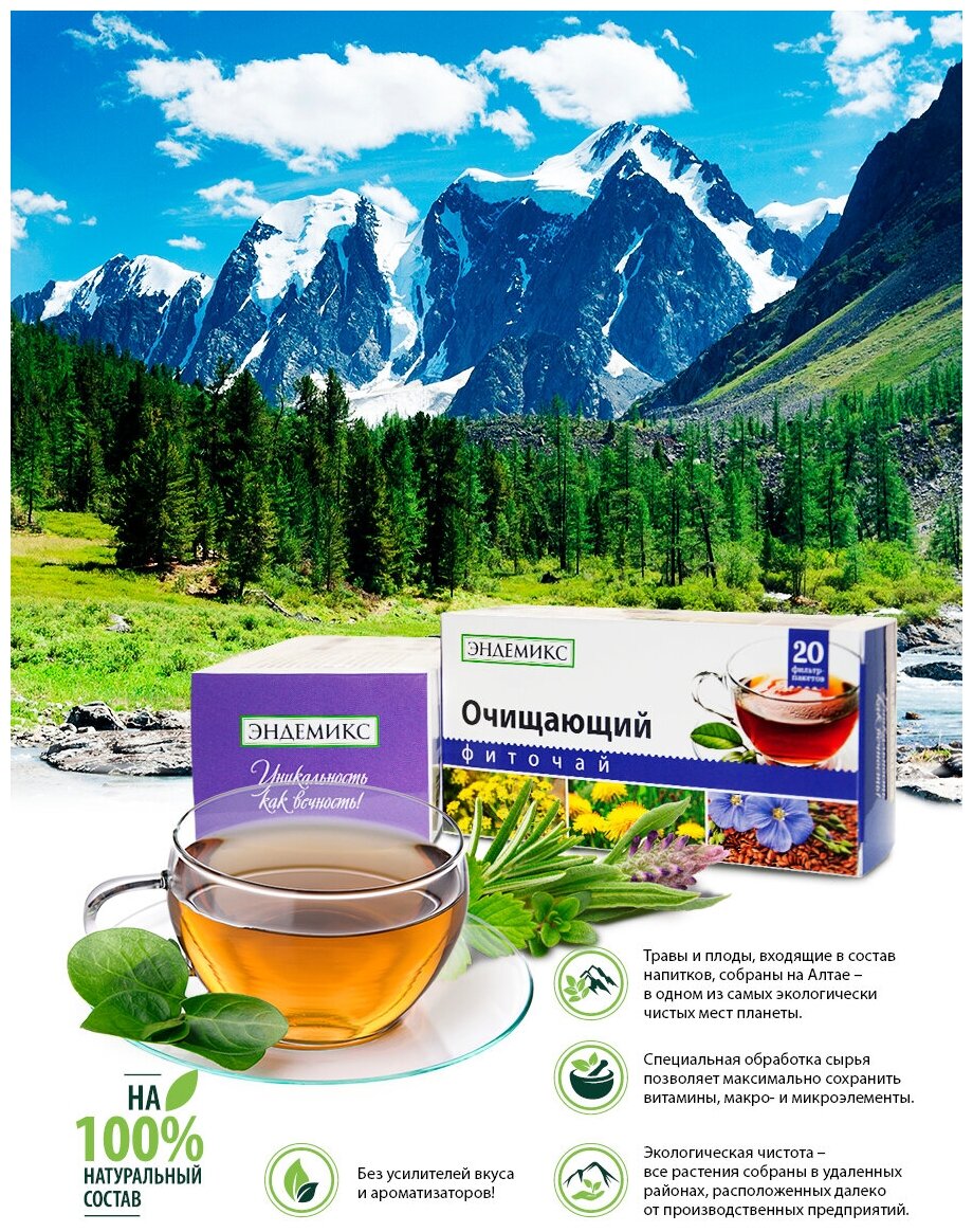 Травяной чай Очищающий в пакетиках алтайский, противовоспалительный, мочегонный для пищеварения, ЖКТ и почек, 40 шт.