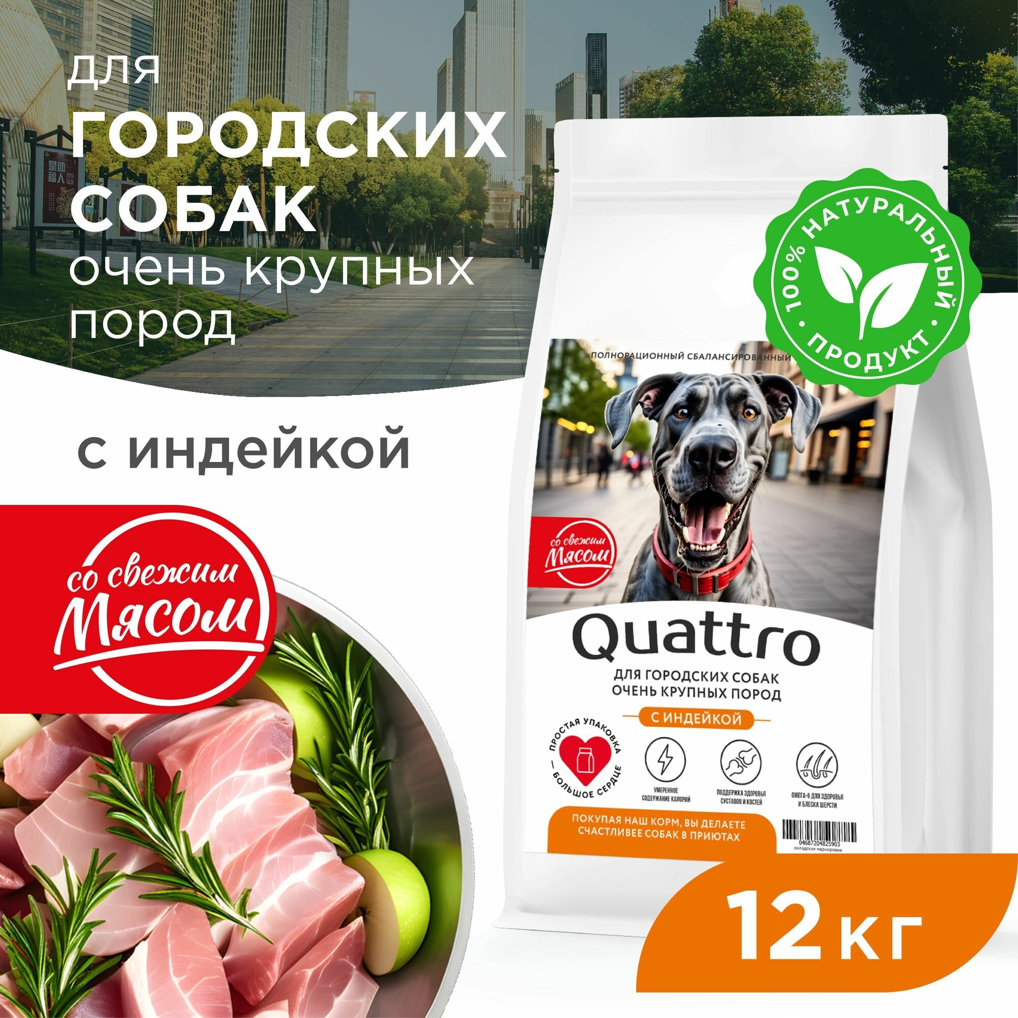 Корм сухой для взрослых собак очень крупных пород, премиум полнорационный комплекс, для городских собак, с индейкой, 12 кг, QUATTRO