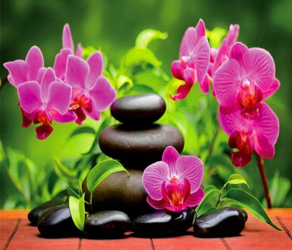 Алмазная мозаика на подрамнике полная выкладка круглые стразы 40*50 "Орхидеи и камни"