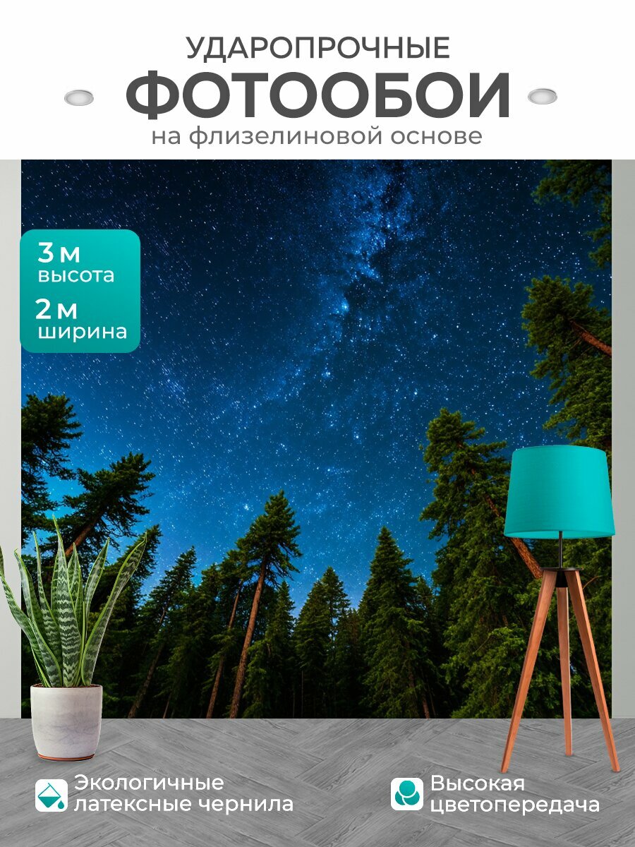 Фотообои моющиеся ударопрочные "Ночное звездное небо над лесом, светилящиеся звезды" 300x300 см. флизелиновые на стену