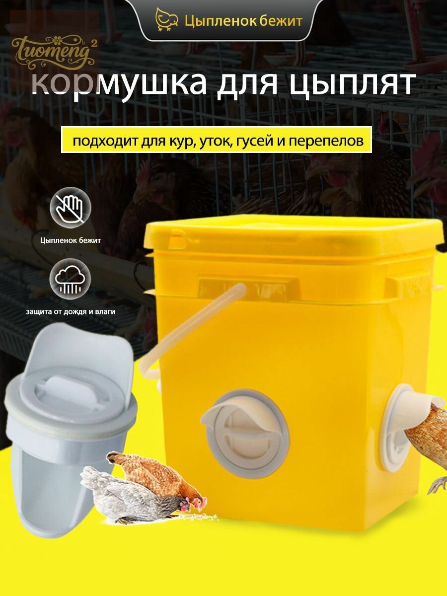 Автоматическая кормушка