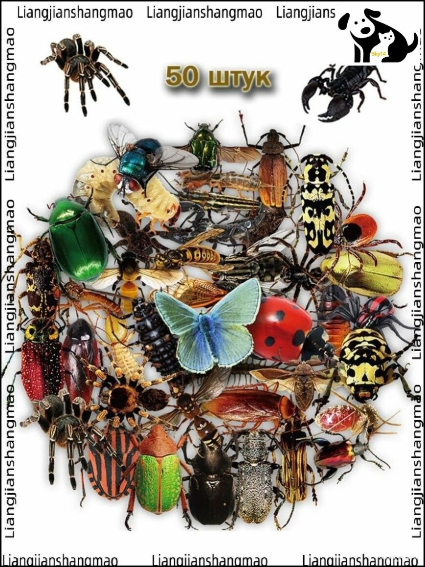 Эксклюзивный набор 50 коллекционных стикеров с насекомыми