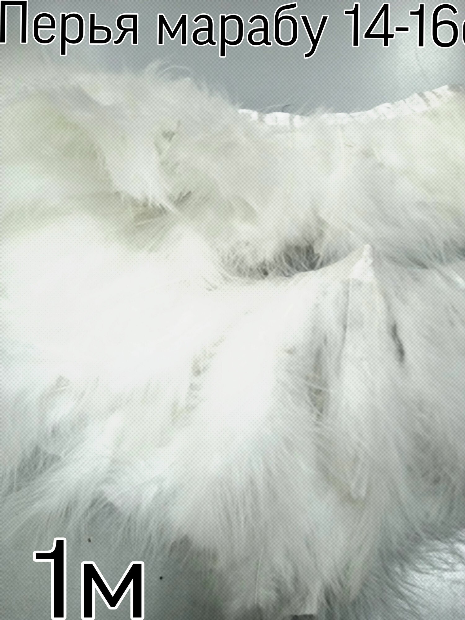 Перья белые на ленте, перо марабу, ширина ленты для рукоделия 14-16см, уп 1м