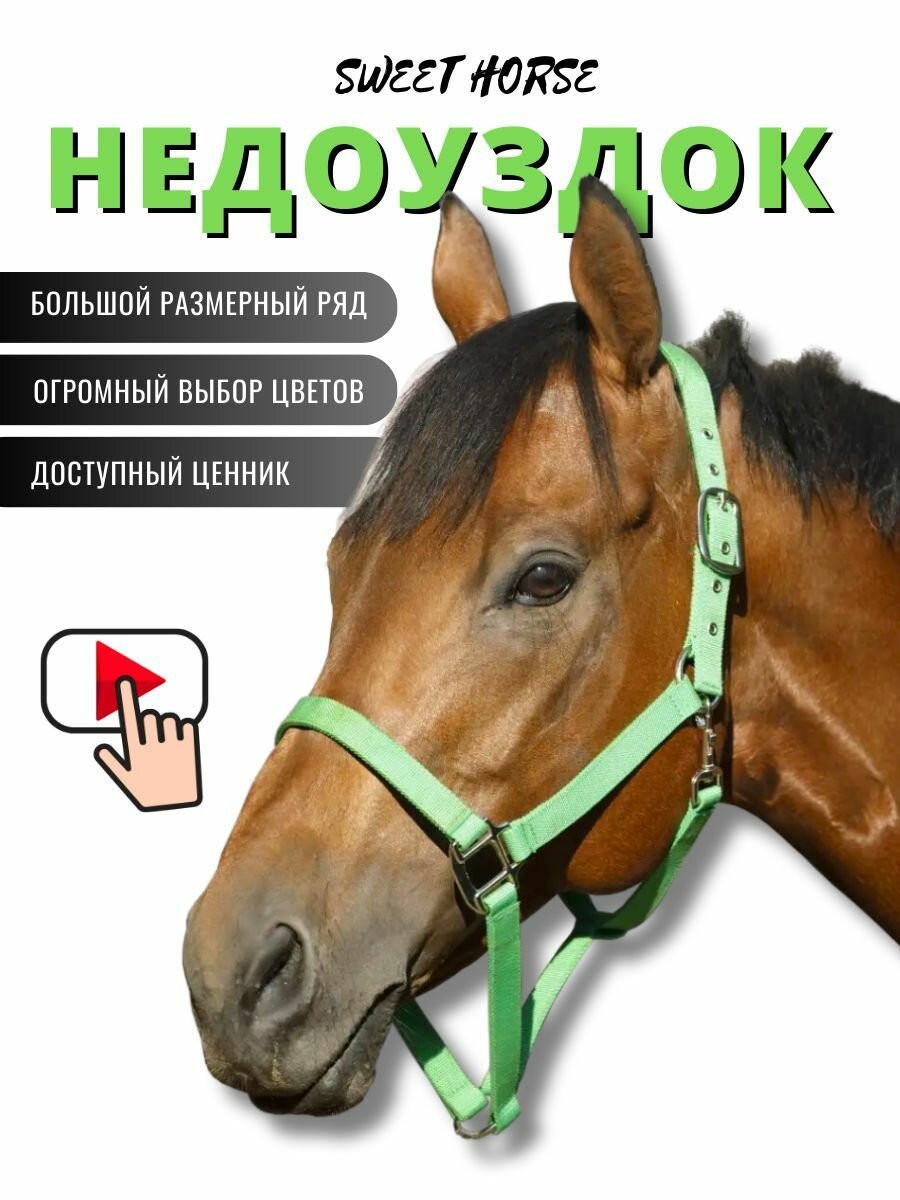 Sweethorse / Недоуздок для лошади и пони, зеленый, размер PONY