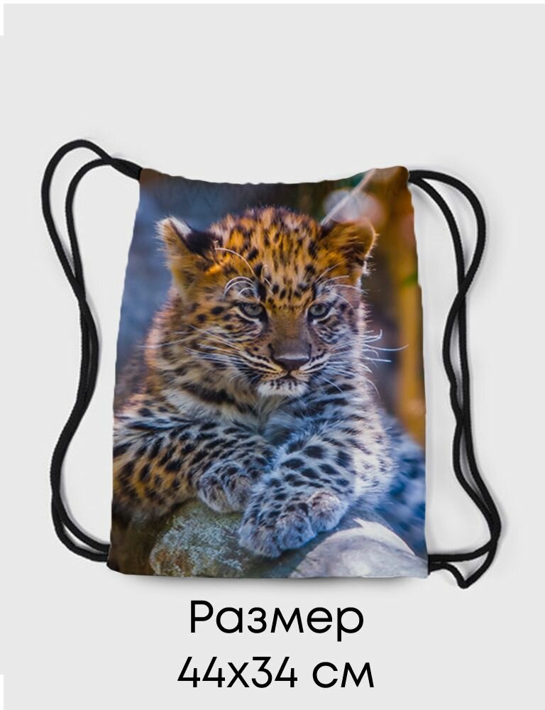 Мешок - сумка для обуви Леопард — фото 1