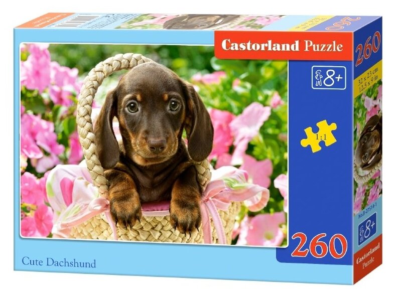 Пазлы Миди 260 деталей. Такса B-27514, (Castor Drukarnia i Wydawnictwo)