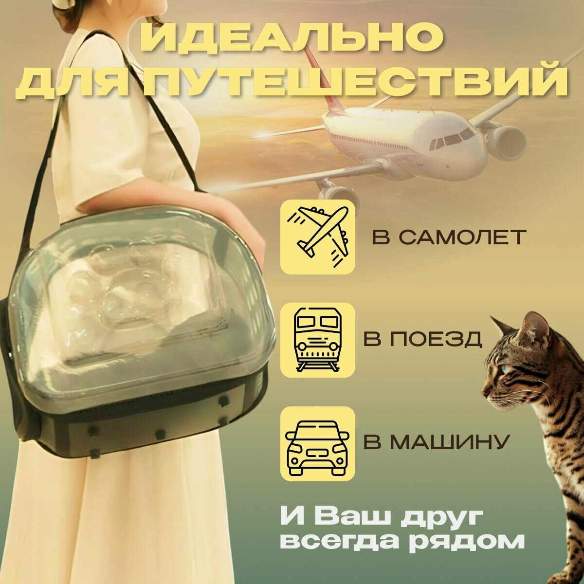Переноска — фото 1
