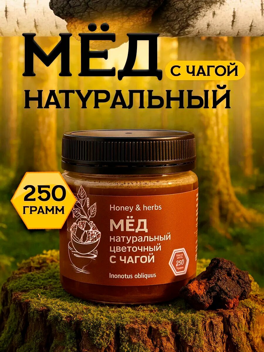 Мёд с Чагой 250 гр в подарок Легенда Алтая