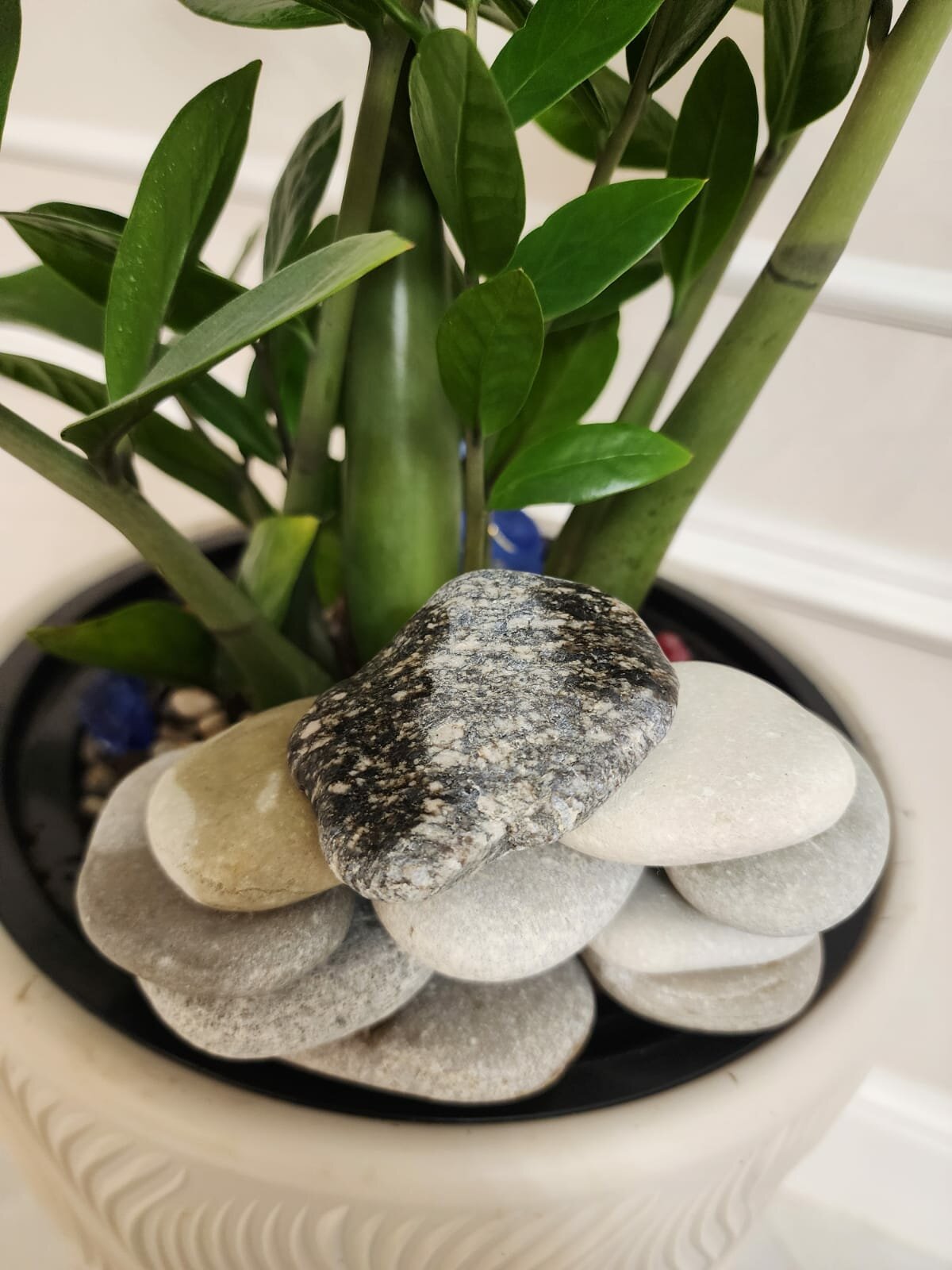 Галька черноморская . грунт для аквариума. фракция 40-60 мм.1 кг.