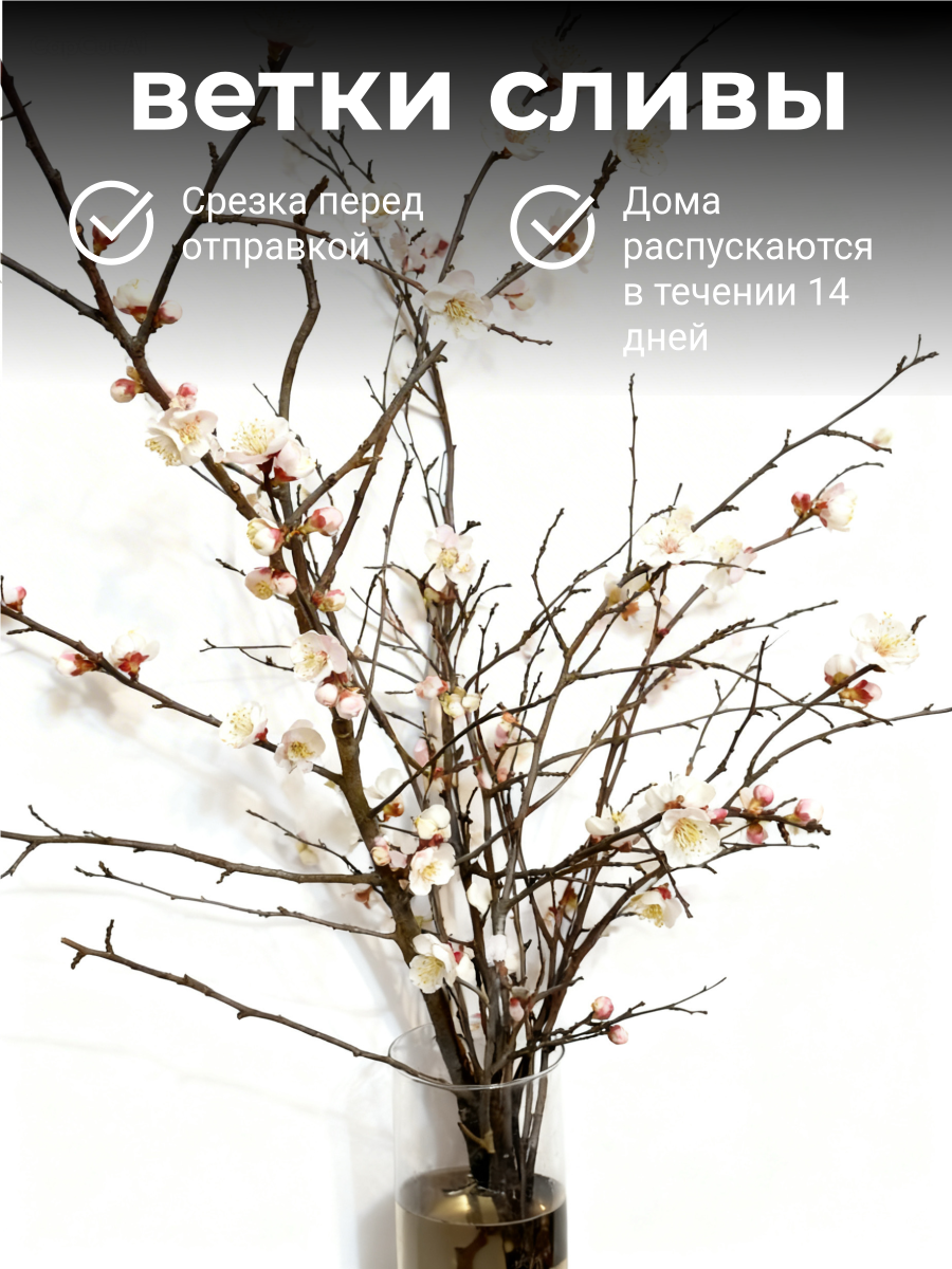 Букет на 8 марта, Живые весенние цветущие ветки, Цветы и ветки для интерьера. 5 шт.