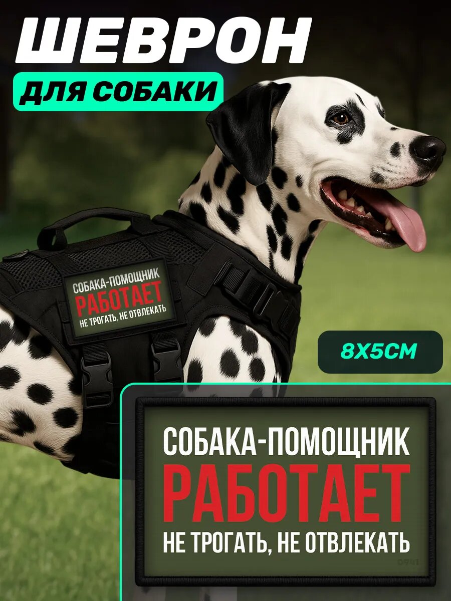 Шеврон на липучке для собак помощник