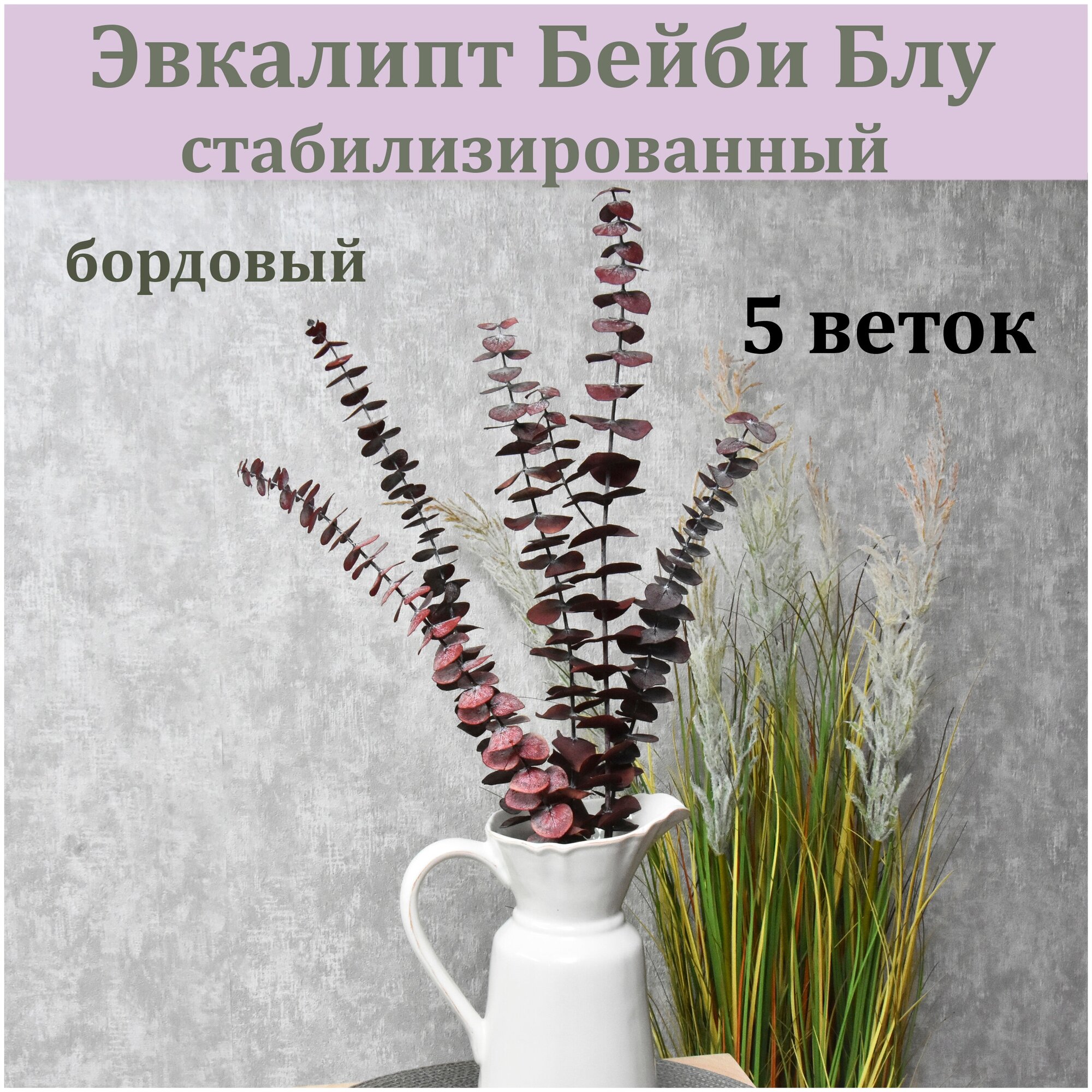 Эвкалипт Бейби стабилизированный бордовый 5 веток / Сухоцветы натуральные стабилизированные / Букет для декора