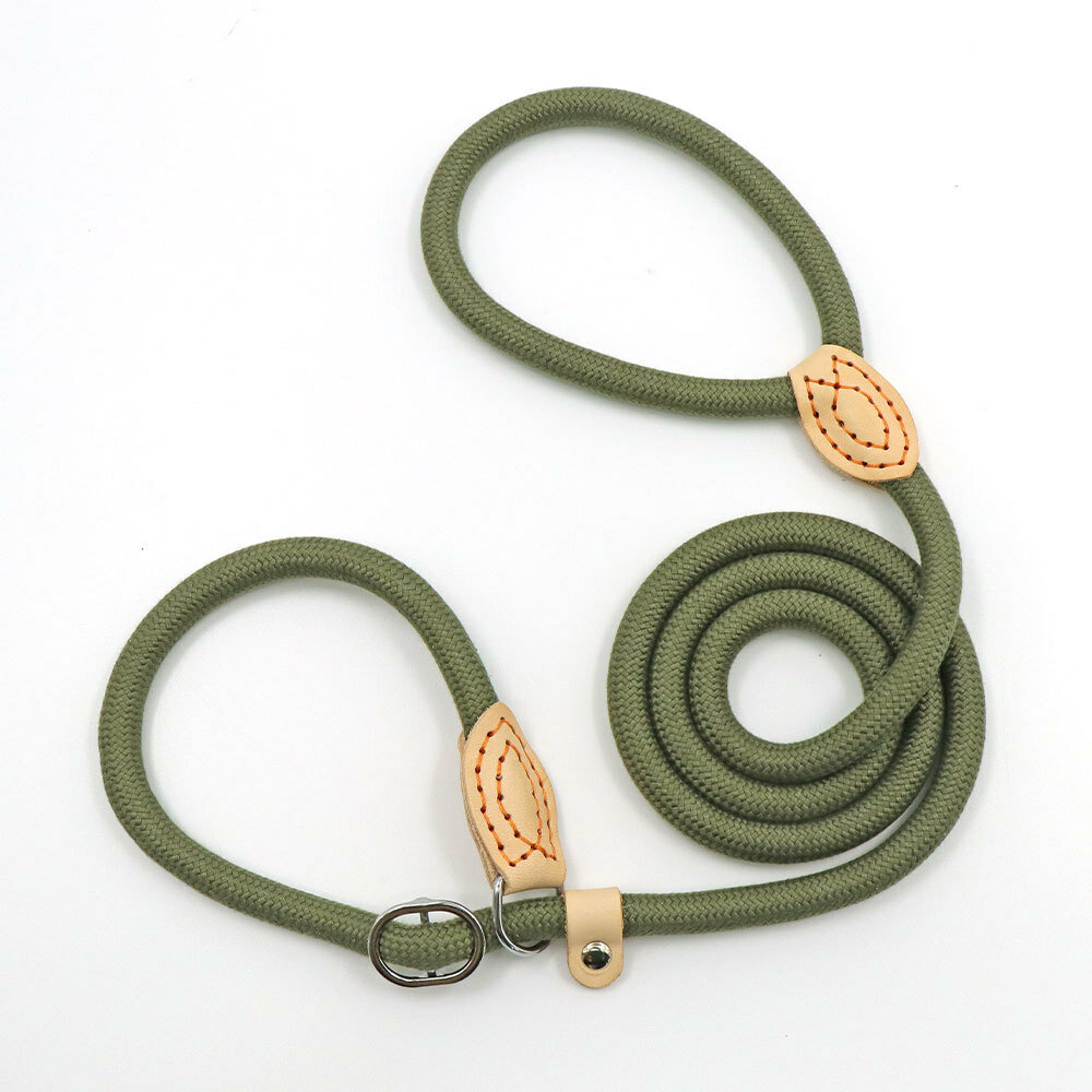 Популярный поводок для собак, прочный и надежный поводок с P-образной застежкой для прогулок на улице, большой поводок