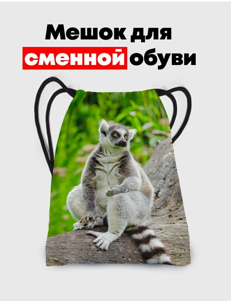 Мешок - сумка для обуви Лемур