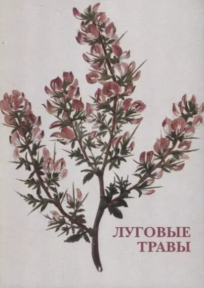Луговые травы ()