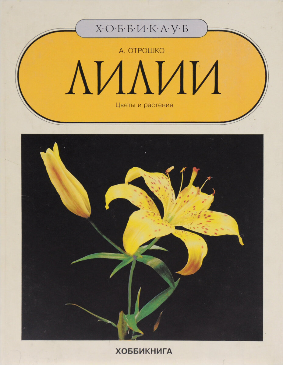 Лилии. Цветы и растения
