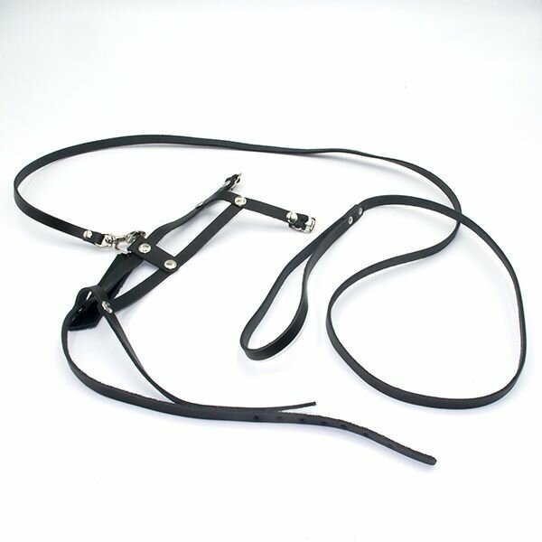 Амуниция для собак Дягилев zoo поводок 8/1, шлейка, для пинчера или кошки, цвет черный