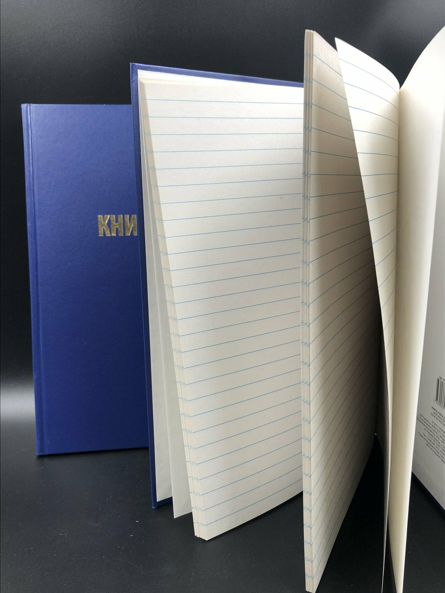 Книга учета бумвинил газетка, линейка, 96 л. арт. КУГЛ-3160