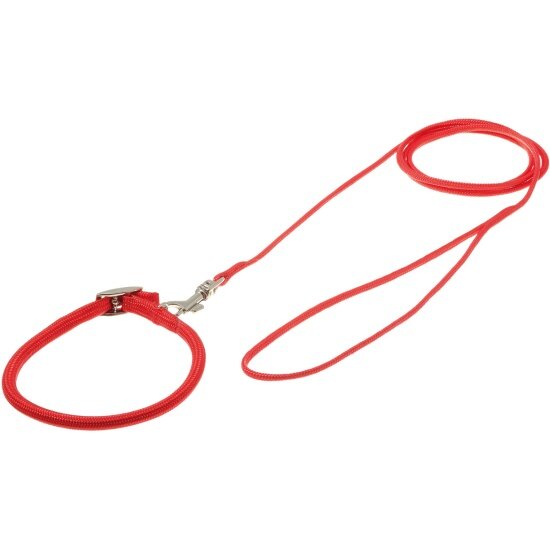Комплект V.i.pet 6мм х 24см (17-20 см) ошейник круглый + поводок 3мм х 1,2м красный