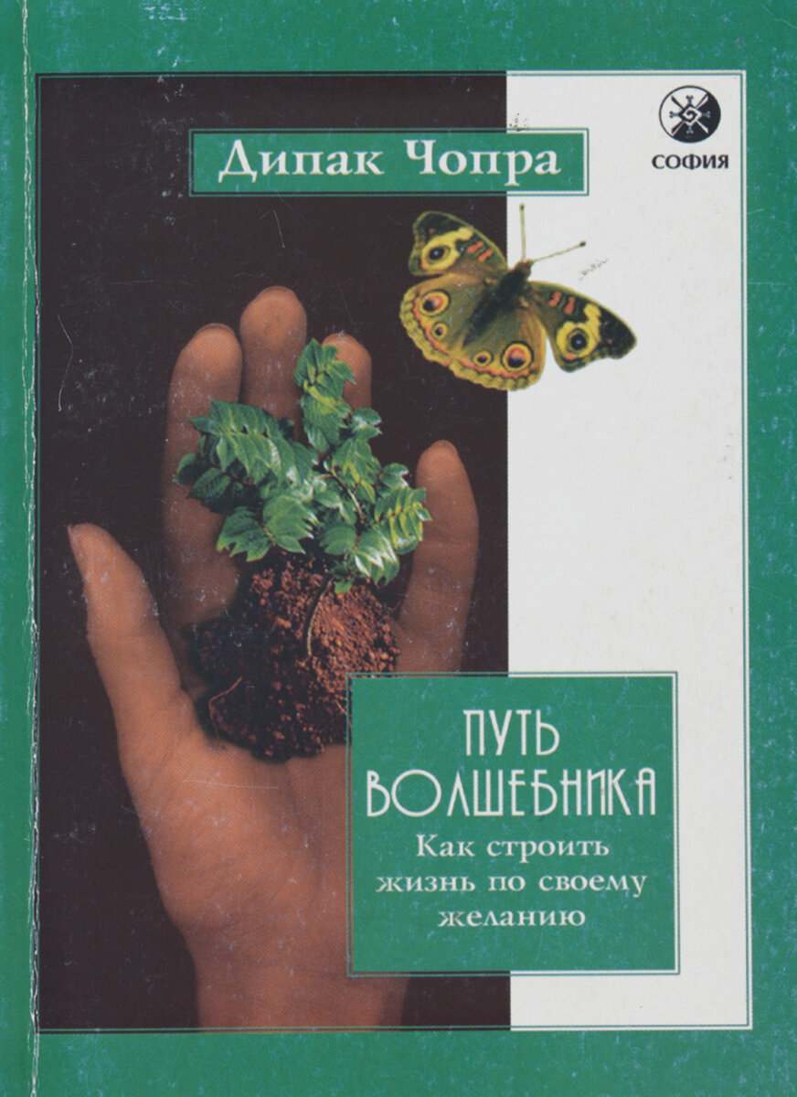 Путь волшебника. Как строить жизнь по своему желанию. Двадцадь духовных уроков