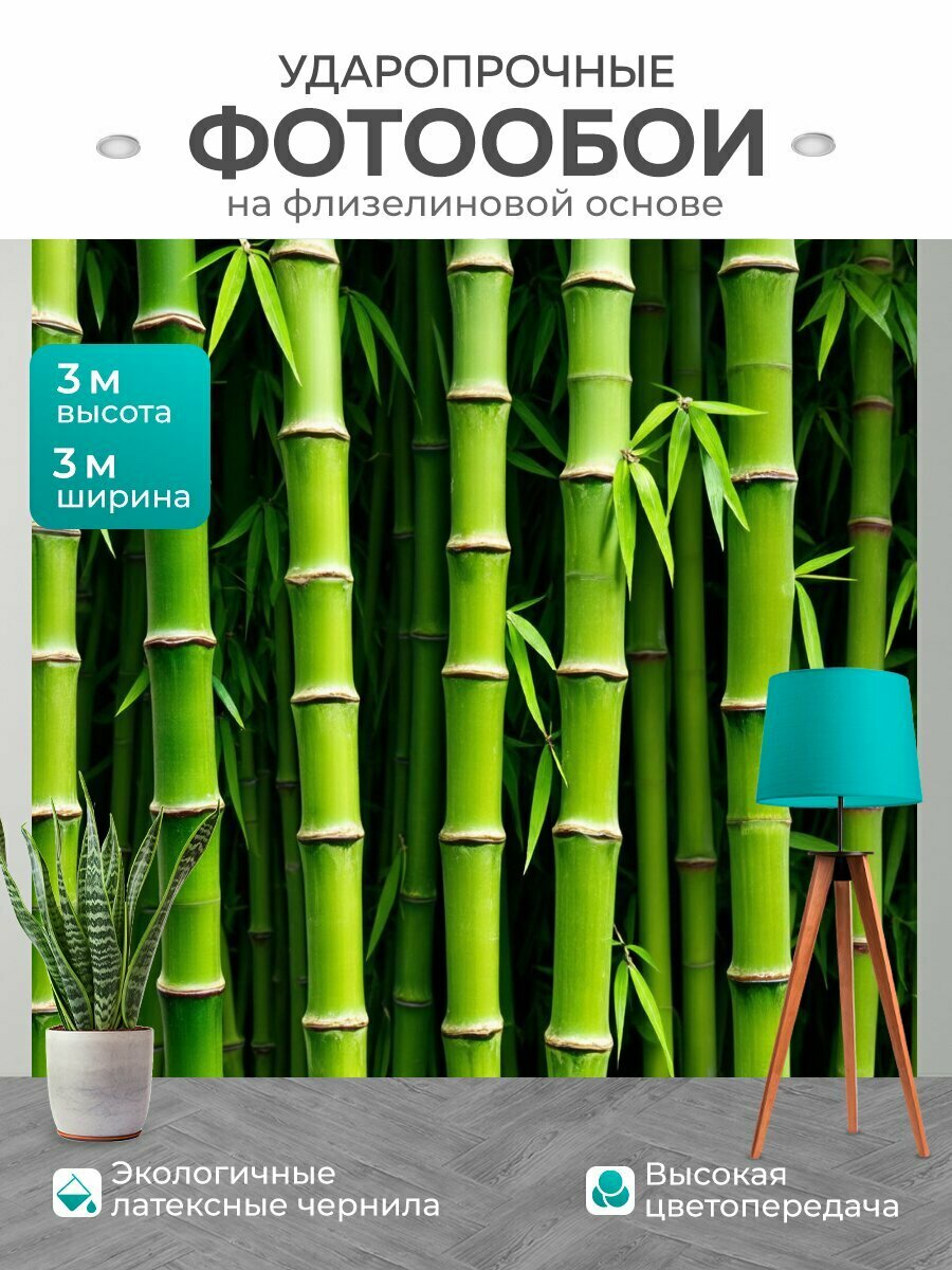 Фотообои моющиеся ударопрочные "Китай: четкие ряды зеленых бамбуковых стеблей, создающие эффект глубины и симметрии. стиль - минимализм, с акцентом" 300x300 см. флизелиновые на стену
